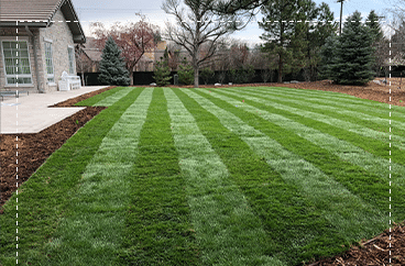 Horizon Turf Nursery - Fresh Sod Farms - Colorado