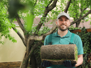Horizon Turf Nursery - Fresh Sod Farms - Colorado